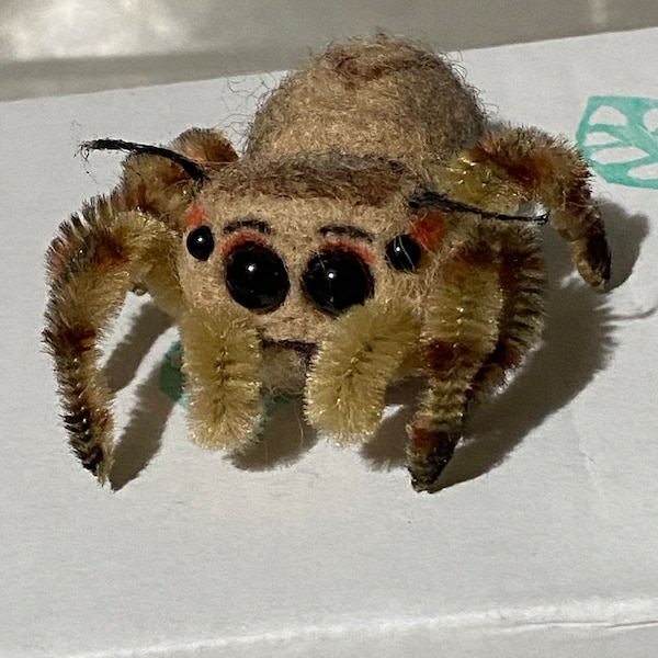 Needle Felted Jumping Spider Toy, Poseable Arachnid Sculpture - Etsy