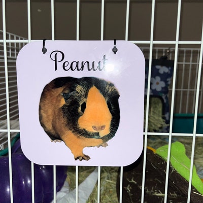 Guinea Pig Name Tag, Guinea Pig Accessories, Pet Tag, Guinea Pig ...