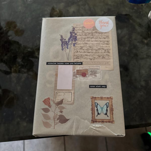 Fearless by Lauren Roberts Hardback With Sprayed Edge - Booktok ...