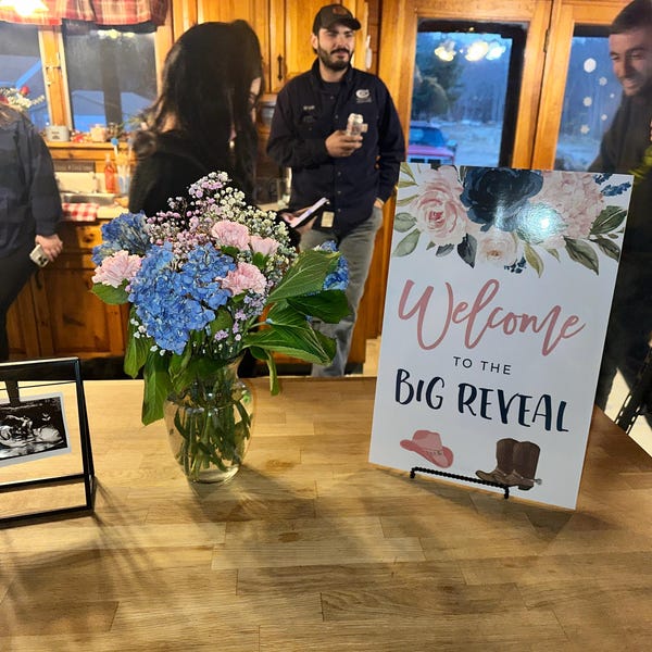 Teddy Bear Diaper Raffle Sign Gender Reveal We Can Bearly Wait ...