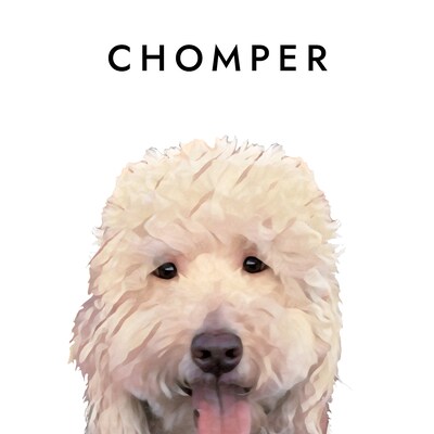 2024 Scuderia Ferrari F1 Driver Team Funny Pet Custom Portrait From ...