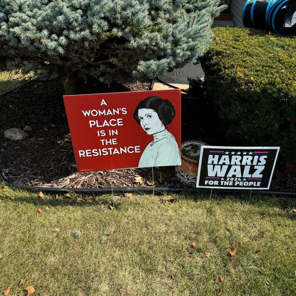 Princess Leia Resistance Yard Sign // 2-sided // Protest - Lawn Sign ...