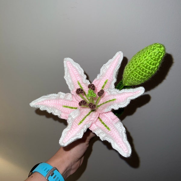 Crochet Amigurumi Knitted Plushies Simulation Purple Pink Yellow ...