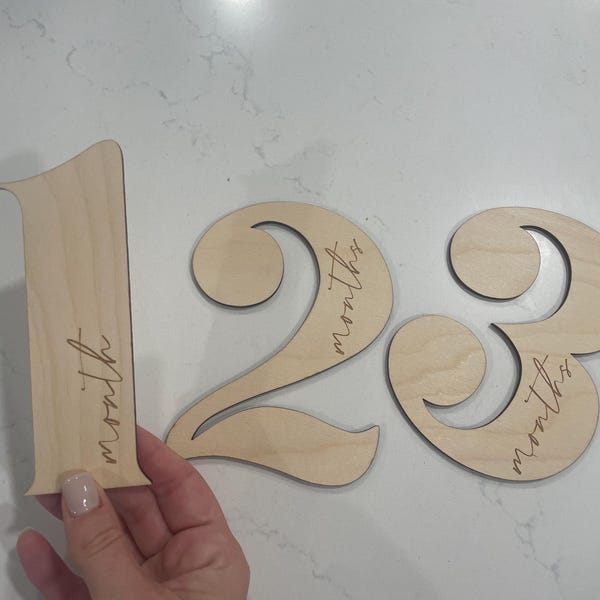 Wooden 3-D Flower Monthly Milestone Sign | Daisy Milestone Card | Baby ...