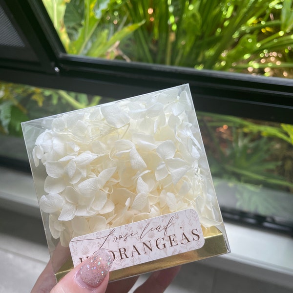 High Quality - Box of Loose Leaf Preserved Hydrangeas | Dried Flower ...