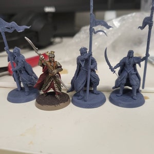 Vhok Ironfist, Hero for DND or Pathfinder 8K Resin Based Miniature the ...