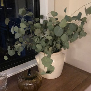 Fresh Gunni Eucalyptus/ Wedding/ Greenery/ Bouquet/ Silver | Etsy