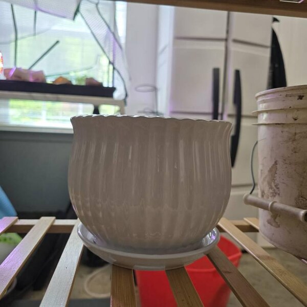 Bunny Rabbit Pot Hugger for Flower Pot • Gardening Gifts • Unique ...