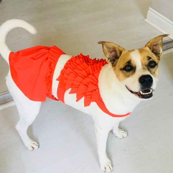 DOG BIKINI, Dog Ruffle Red Tankini, Dog Swim Wear, Summer Beach Clothes ...