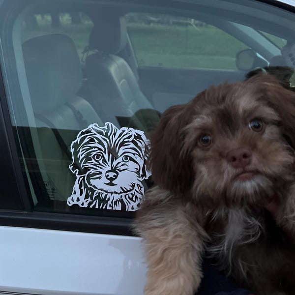 Pet Sticker/dog Car Decal/ Gift for Pet Lover/gift for Pet Owner ...