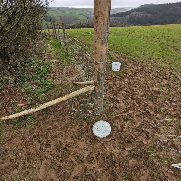 Hand Crafted Oak, Scotch Whisky Barrel Stave and Hoop Log Basket - Etsy UK