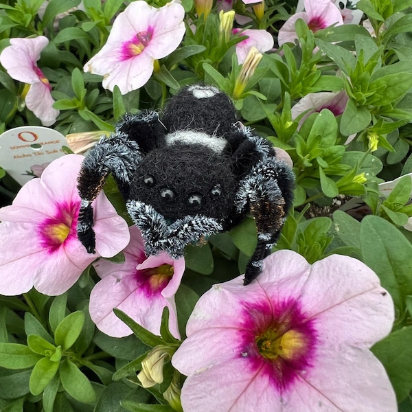 Needle Felted Jumping Spider Sculpture, Poseable Wool Toy - Etsy