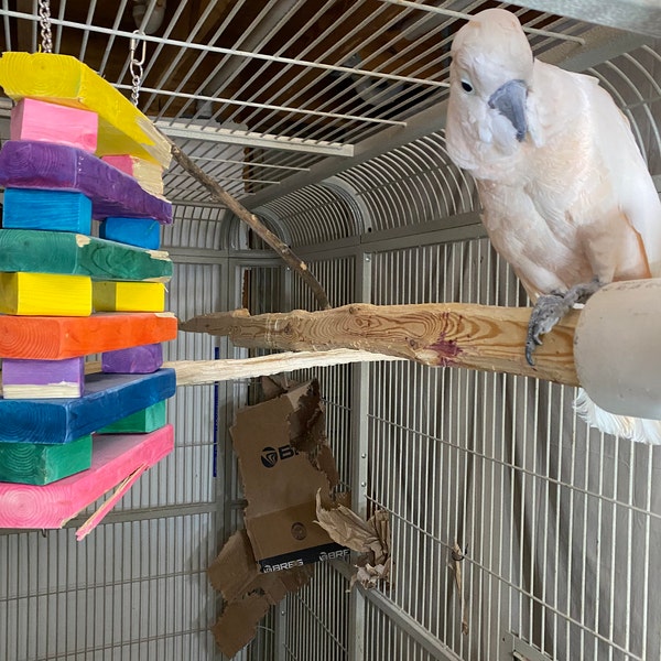 Macaw Ladder, Large Bird Toy - Etsy