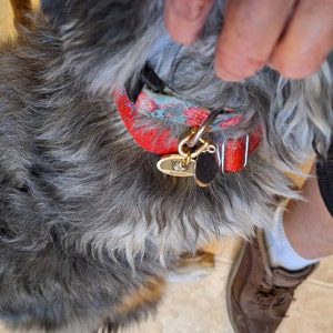 Brass Dog Tag, Personalized Brass Pet ID Tag, Custom Cat Tag, Unique ...