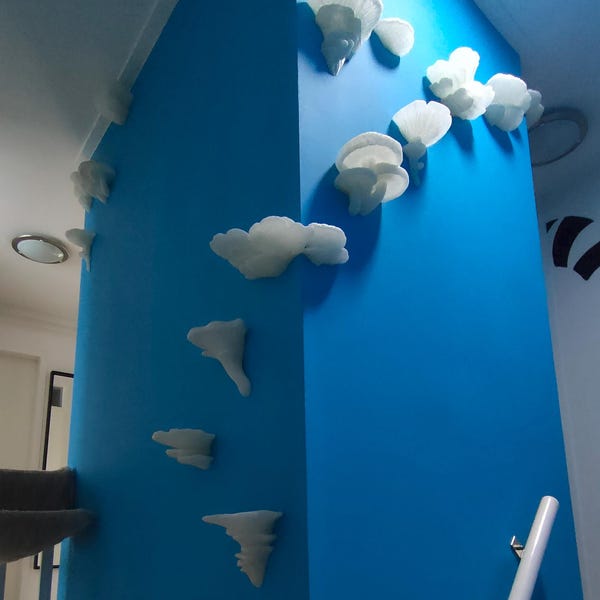 Glow in the Dark Floating Coral Shelf Large “montipora Capricornis ...