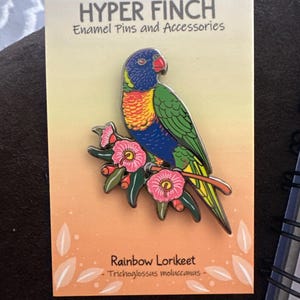 Lefty the Quaker Parrot Hard Enamel Pin Lapel Pin Bird Pin Monk ...
