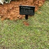 Engraved Memorial Graveside Sign: Personalized Remembrance Plaque - Etsy