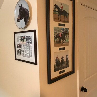 Race Horse Somethingroyal Picture Pedigree 8.5 X 11 Dam of Secretariat ...