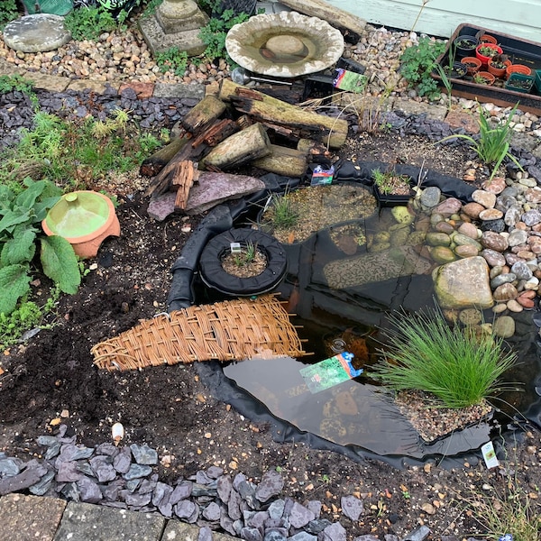 Hedgehog Pond Ramp, Hedgehog Conservation, Pond Decorations, Gardener ...