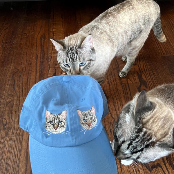 Monster's Inc Hat, Boo's Door Hat, Boo, Monsters Inc, Disney Dad Hat ...