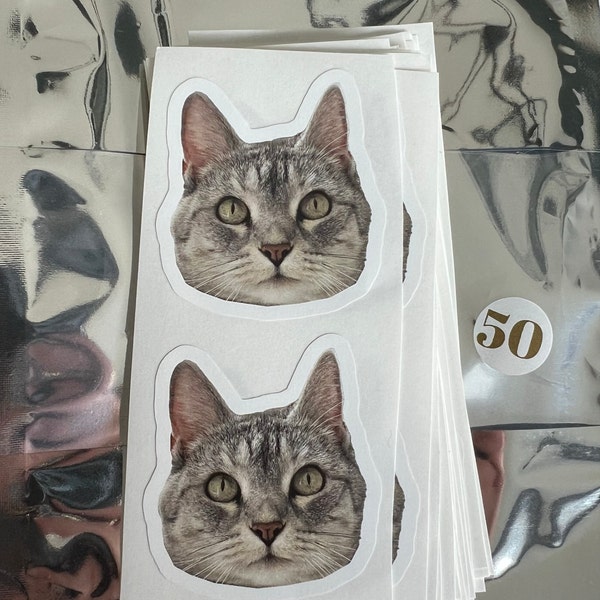 Custom Face Stickers - Personalized Face Stickers - Baby Stickers ...