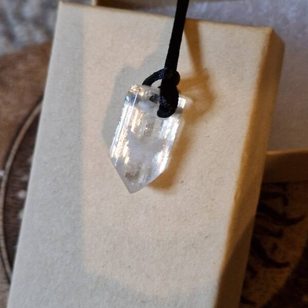 Dinosaur Fossil Tooth Pendant Mosasaurus Tooth Pendant Fossil Tooth ...