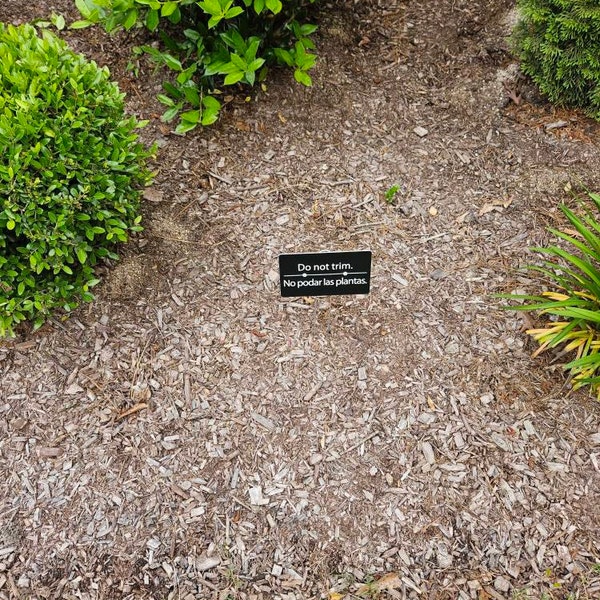 Do Not Trim Acrylic Sign, Outdoor Garden Sign, Garden Markers - Etsy Do Not Trim Acrylic Sign, Outdoor Garden Sign, Garden Markers - Etsy