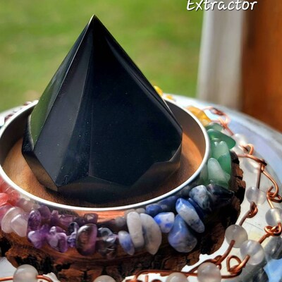 Wooden Shell Tripod Display Stand Hand Carved Base for - Etsy