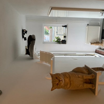 Cat Steps Set 3 Psc. Cat Walk Wall, Cat Steps, Cat Wall Furniture, Cat ...
