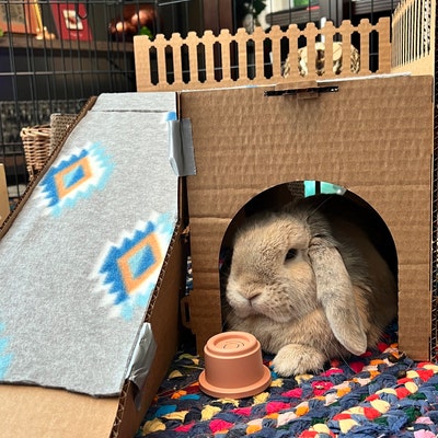 Cardboard Hobbit Style Hidey - Etsy