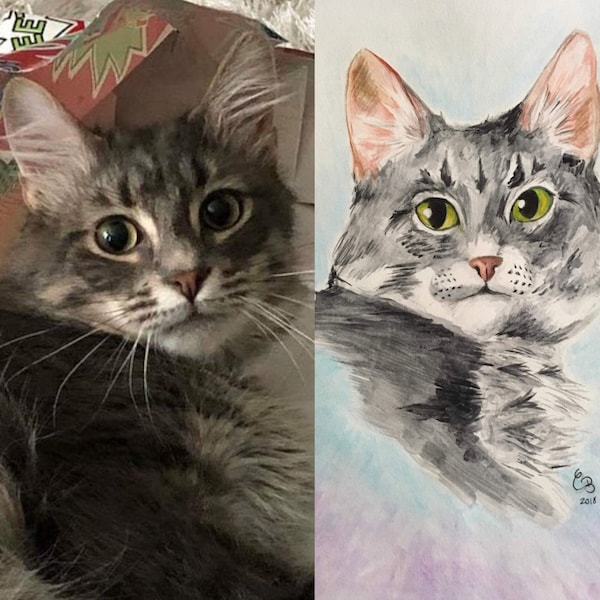 Printable or Digital Pedro Pascal Coloring Pages - Daddy Pack Coloring ...