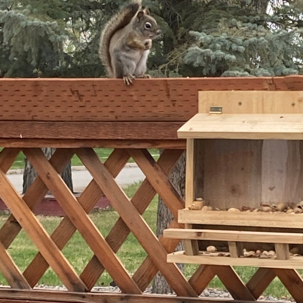 Squirrel Bar, Squirrel Feeder, Pet Feeder, Bird Feeder, - Etsy