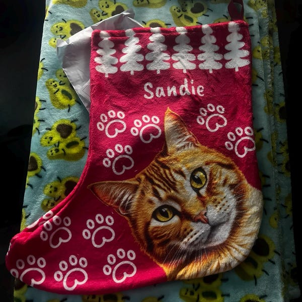 Cat Name Personalized Doormat, Custom Cat Face Floor Mat, Cute Cat ...