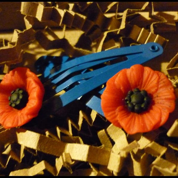 Must Have Side Combs X2 by Plain Jane Ladies Hair Combs Tortoiseshell ...