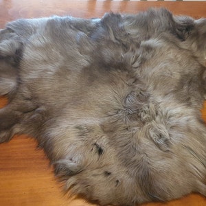 Giant Horse Skin Hide Real Natural Area Rug Living Room - Etsy