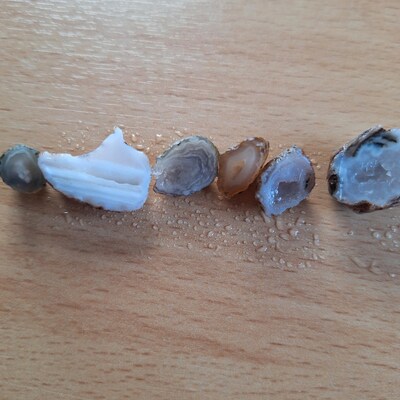 Bag of Tabasco Geodes Unopened whole Geode VERY SMALL GEODES - Etsy