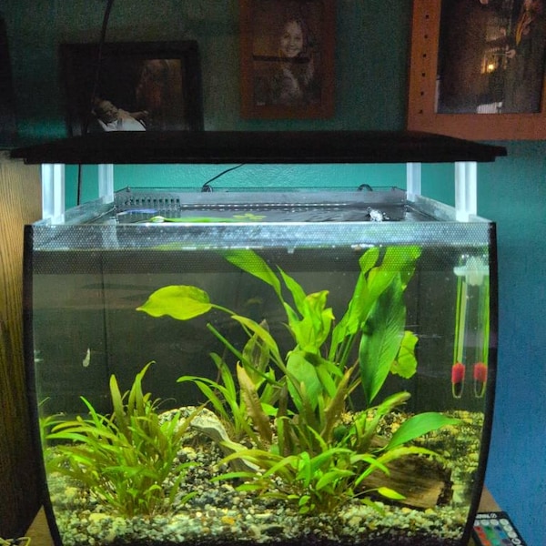 Finnex Stingray Original LED Light Riser, Attractive Stable Elevated ...