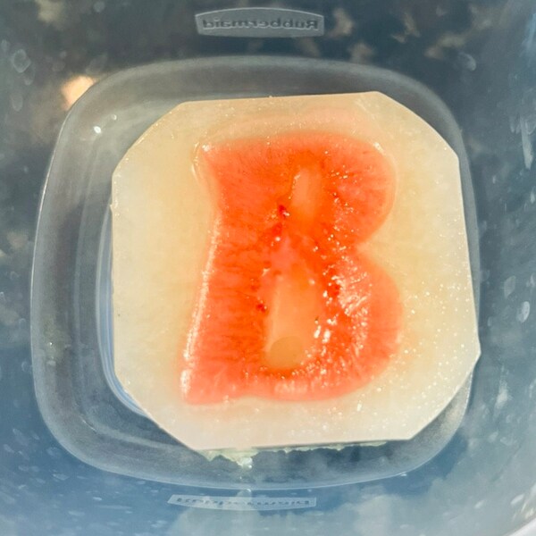 Letter Shaped Ice Tray (mix and Match) - Etsy