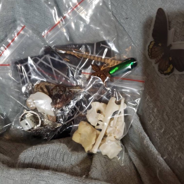 Adorable Miniature Bone Throwing Kit Gift Set - Bone Casting Divination ...