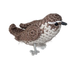 Red-bellied Woodpecker Written Crochet Pattern Realistic Garden Bird ...