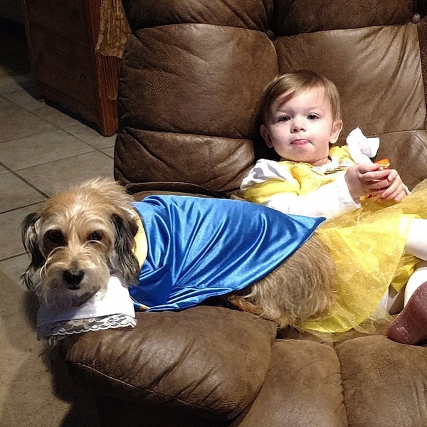 Dog Pig Costume, Pua From Moana Costume for Pets, Pig Costume for Dogs ...