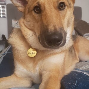 Rose Gold Dog Tag, Personalized Dog Name Tag, Cute Simple Dog Name Tag ...