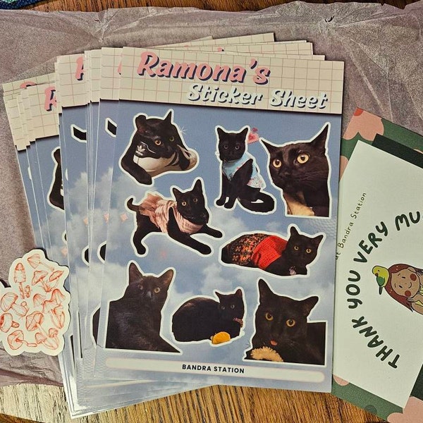 Cat Meme Bumper Sticker and Funny Bumper Magnet Gen Z, Cat Car Sticker ...