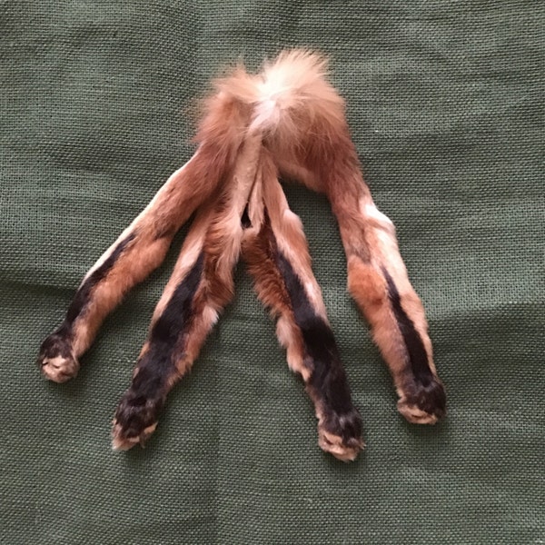 Set of 4 Red Fox Paws With Legskins- Tanned ~7-10" (#598) - Etsy