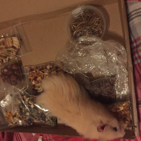 Hamster Treat Box - Flaxspray - Foraging - Flowers - Rosehips - Dried ...