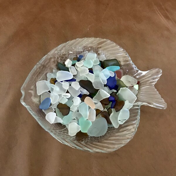 Cottagecore Colorful Floral Plate Wall Set, 8 Eclectic Plate Collection ...