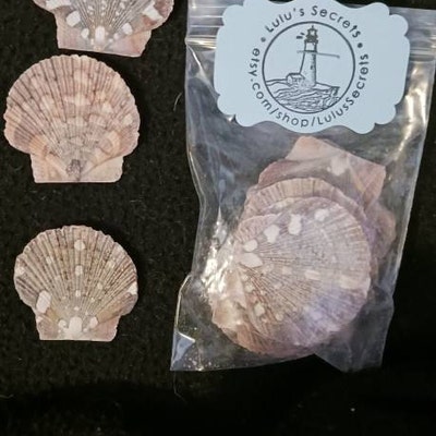 Oak Shabby Chic Beach Themed Memory Box, Vows Box, Wedding Card Box - Etsy