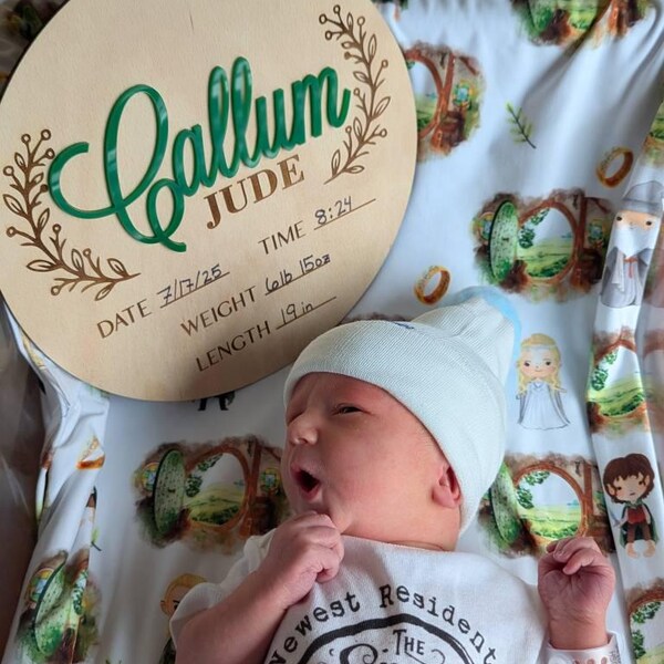 Baby Announcement Signs | Custom Name & Birth Stats Plaque ...