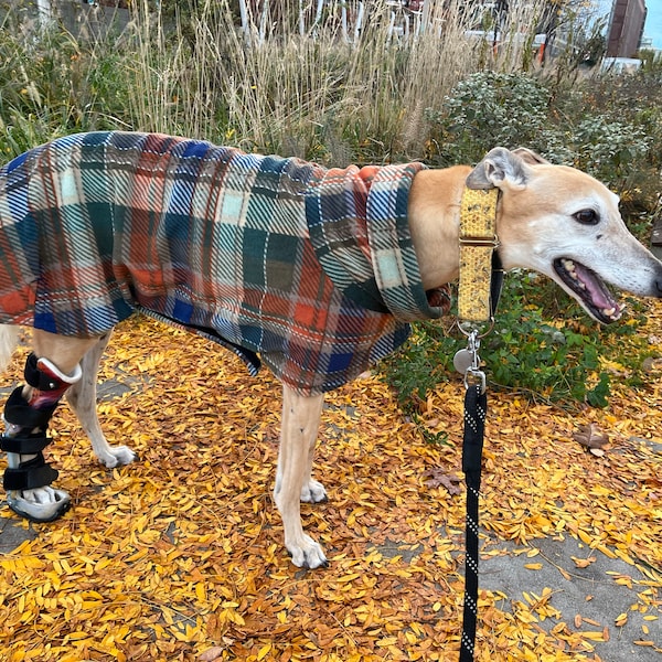 Greyhound Coat - Plaid Dog Coat - Dog Jacket - Greyhound Clothing ...