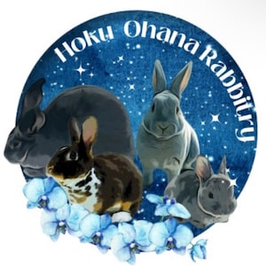 Rabbitry Logos Your Photo Logos Watercolor Logos Farm - Etsy